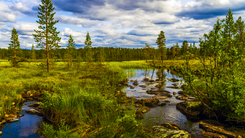 KIPLIN METALS ACQUIRES RIGHTS TO CLUFF LAKE ROAD URANIUM PROJECT ...